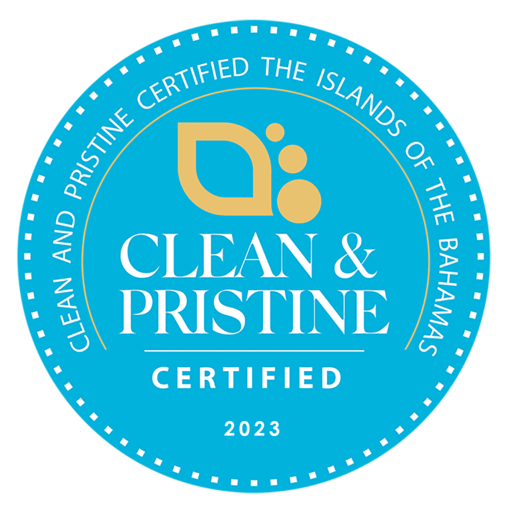 Everything You Need to Know About Staniel Cay, Exuma Cays, Bahamas